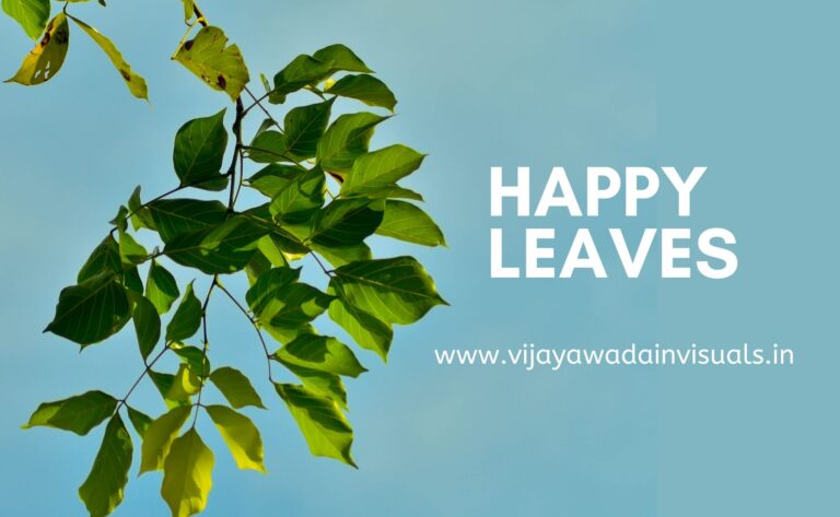 HAPPY LEAVES - Vijayawada in Visuals